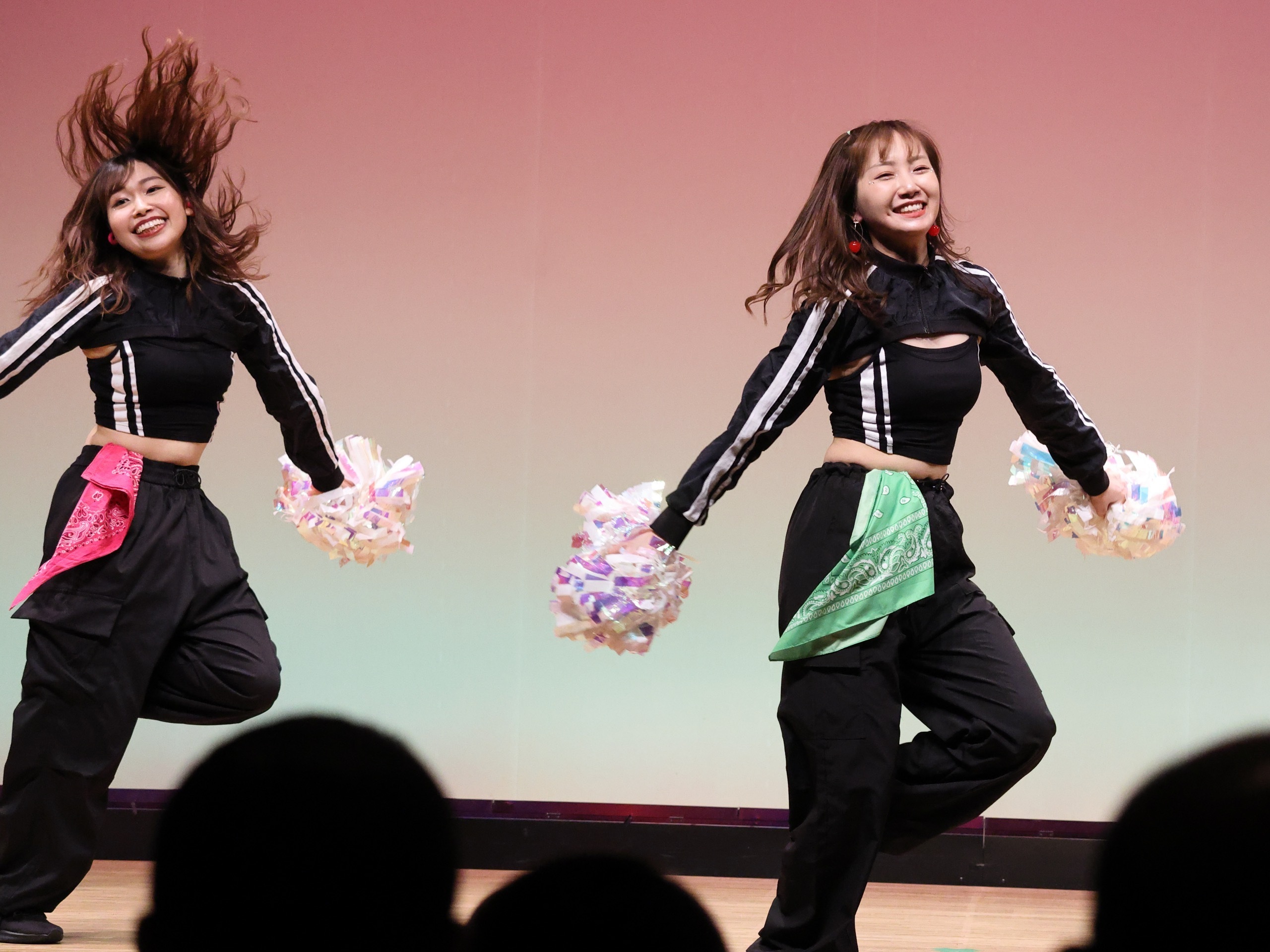 PIASU: チアどラ大陸 since2012